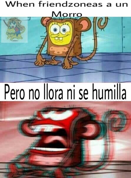 Saben que hora es? :'v | •Meme• Amino Saben que hora es? :'v | •Meme• Amino