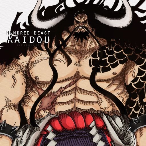 Kaido One Piece Amino kaido-one-piece-amino