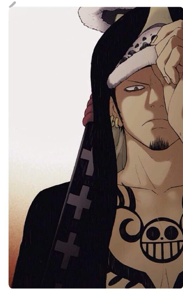 One Piece Hottest Guys Anime Amino