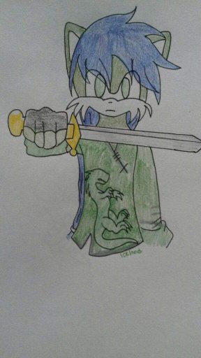Kage The Leopard Sonic The Hedgehog Amino