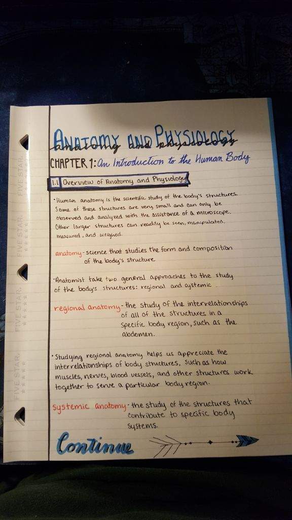  Anatomy And Physiology Notes Studying Amino Amino