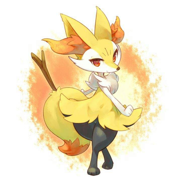 Braixen Wiki • Pokémon 📰• Amino