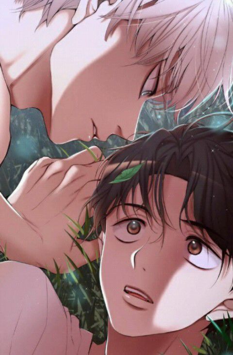 Yaoi ♥♥ Wiki •anime• Amino