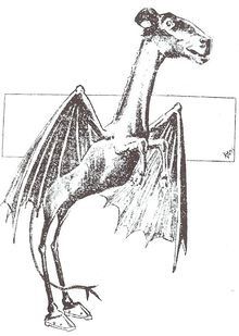 Cryptids of North America | Paranormal Amino