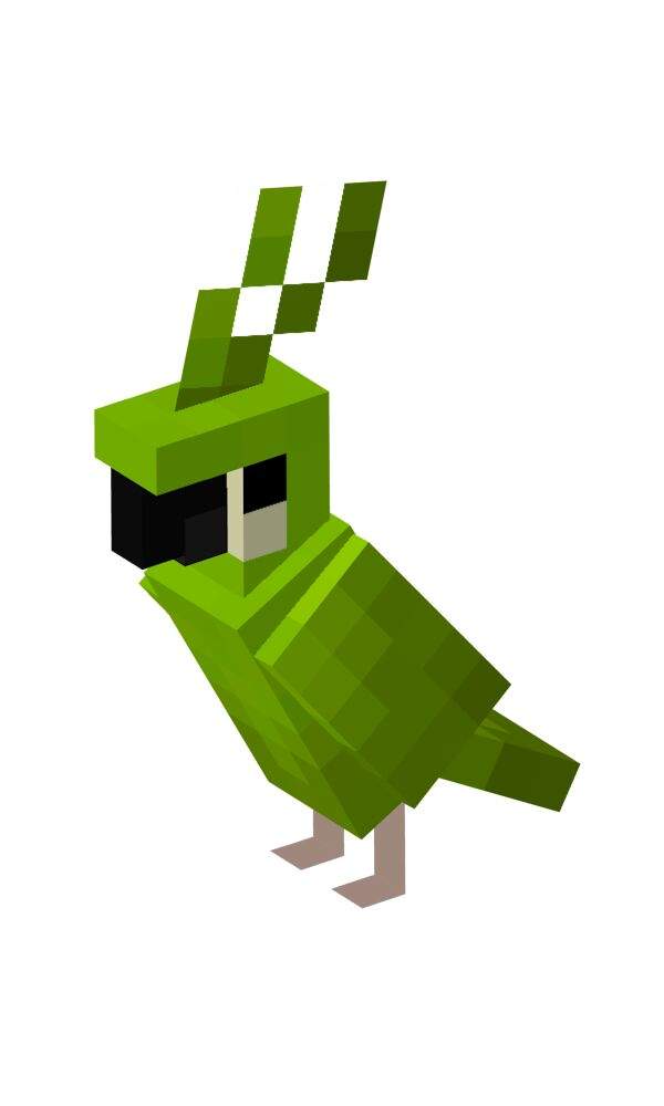  What Are Parrots Minecraft Amino