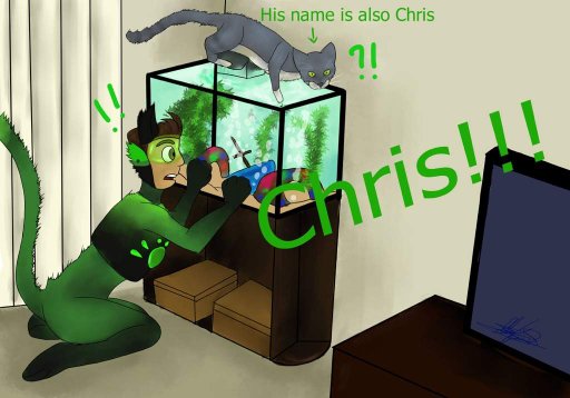 Mudskipper Powers? | Wild Kratts Amino Mudskipper Powers? | Wild Kratts Amino