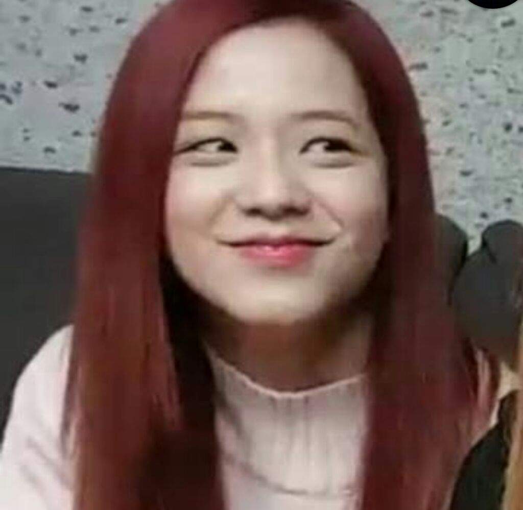 Jisoo Meme Wiki Blink 블링크 Amino