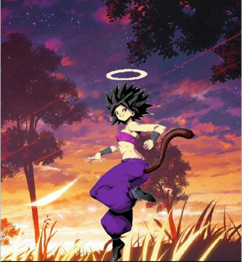 Caulifla With A Saiyan Tail Dragonballz Amino