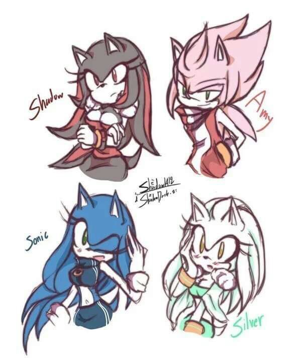 Sonic Rule 63 Sonic The Hedgehog Amino