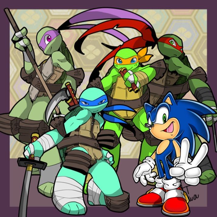 Sonic Ninja Turtle at Rose Slaughter blog