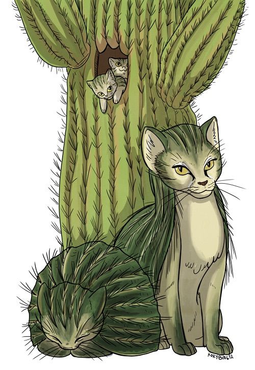 Cactus Cat | Wiki | Cryptid And Mysteries Amino Amino