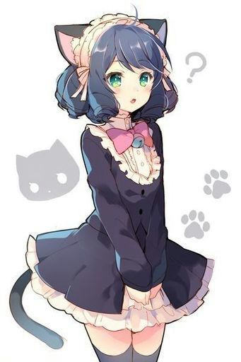 Shimo Anime Amino