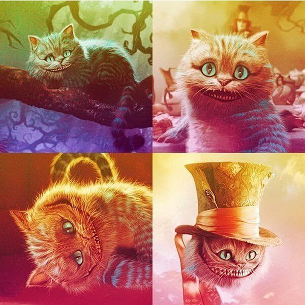 Чеширский Кот | Wiki | Писатели Amino Amino