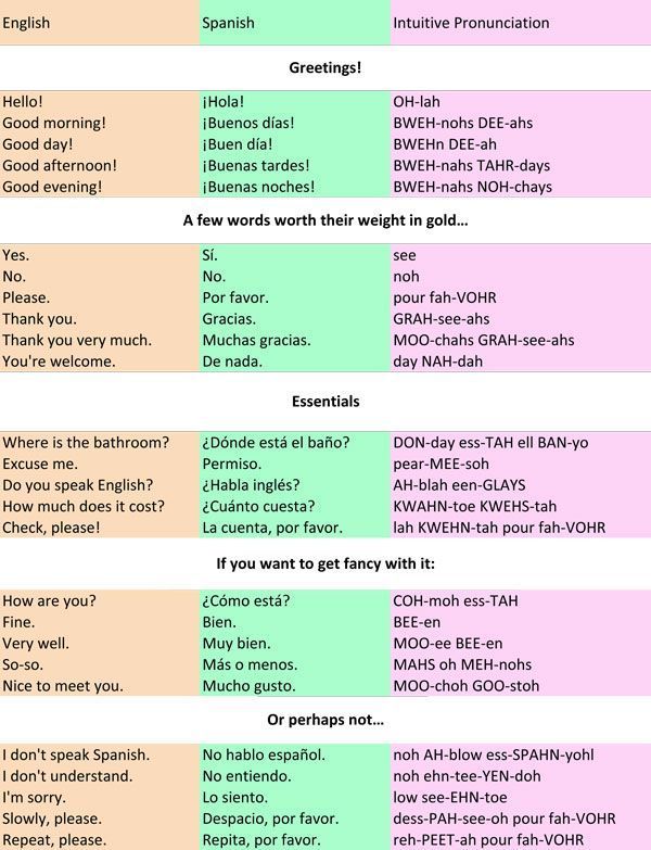 Spanish Basics Learn Languages Amino Amino spanish-basics-learn-languages-amino-amino