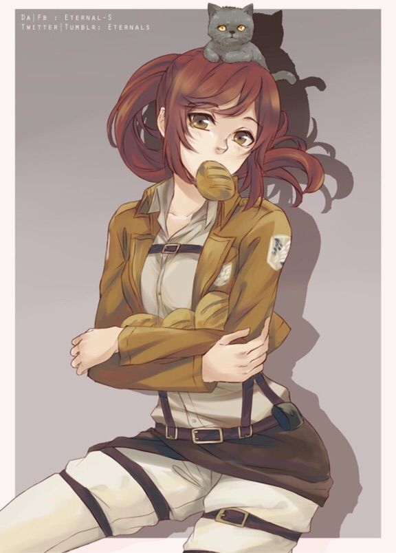 ‼️sexy Attack On Titan Girls‼️ Anime Amino