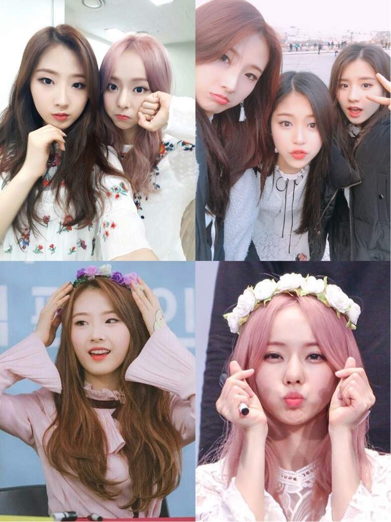 diy loona photocards♡ | LOOΠΔ Amino Amino