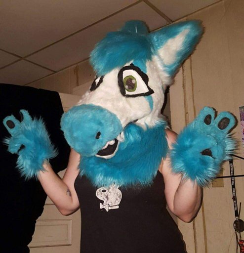 Kyri Dragonfox Furry Amino