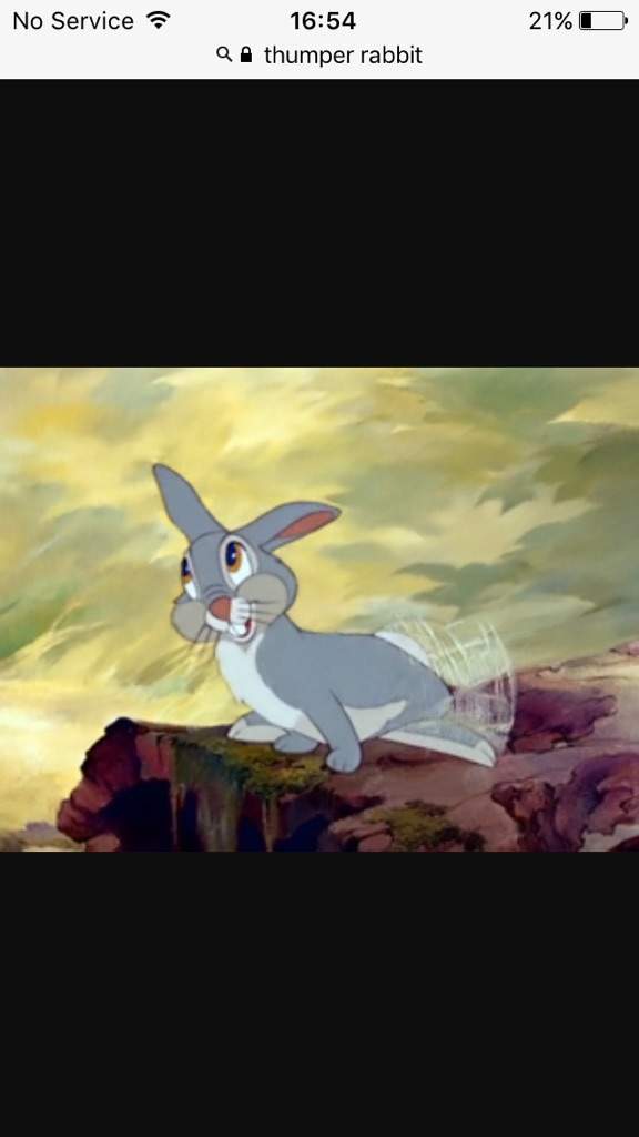 Thumper Wiki Disney Amino