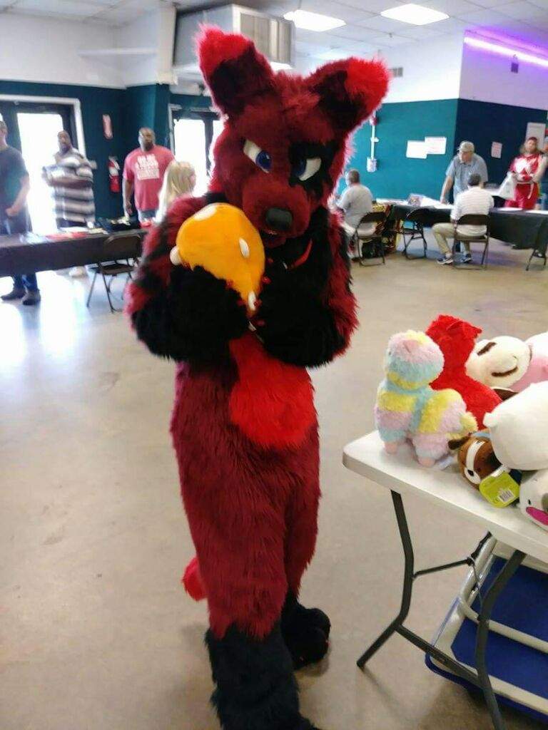 How Much Does A Fursuit Head Usually Cost Furry Amino