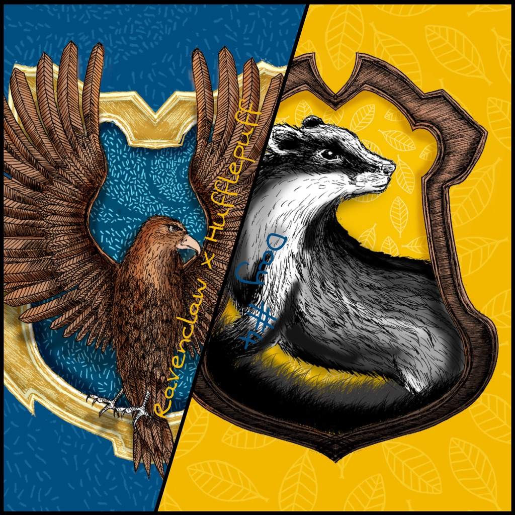 Ravenclaw X Hufflepuff Day 4 Hufflepuff Amino ravenclaw-x-hufflepuff-day-4-hufflepuff-amino