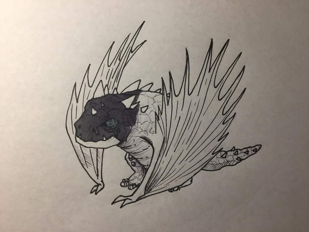 Dragon Spotlight Sentinel Httyd Amino