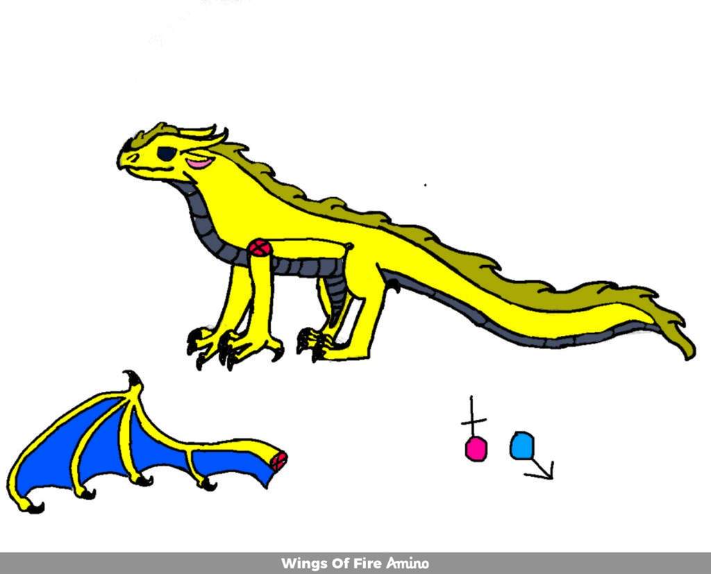 Gamer Wiki Wings Of Fire Amino
