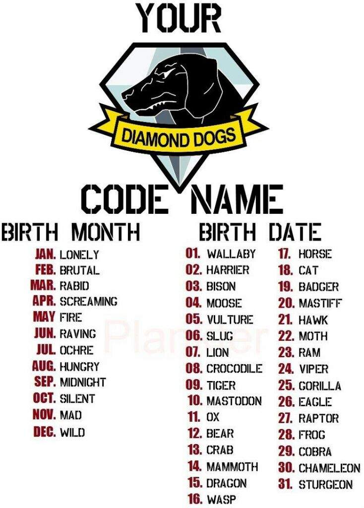 What Is Your Diamond Dogs Code Name Metal Gear Amino Amino