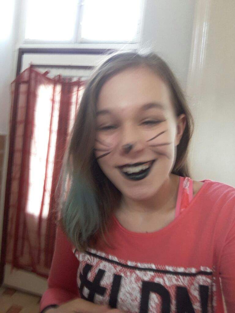 Cat Cosplay Cosplay Amino