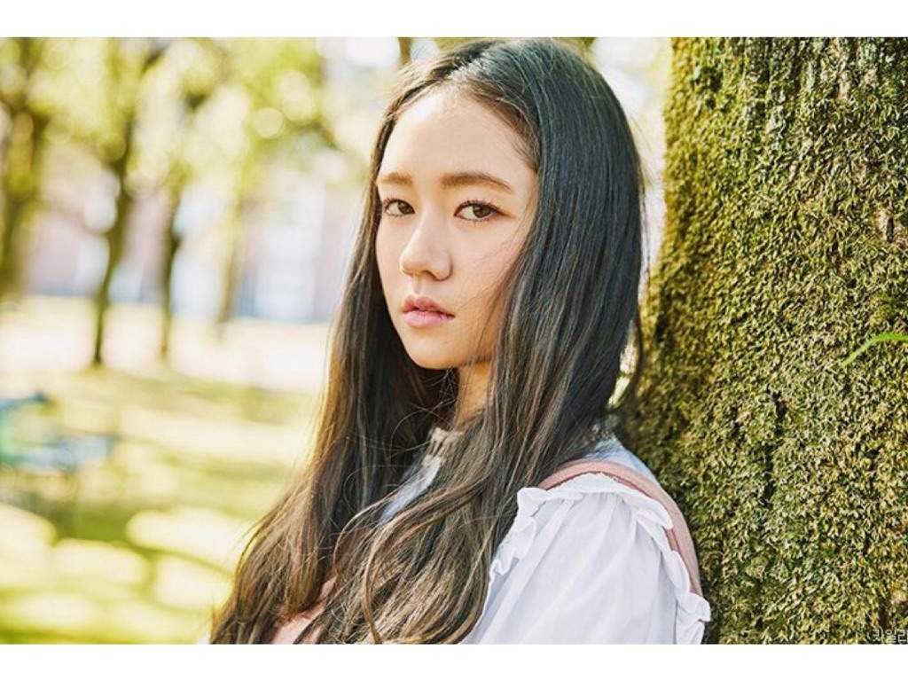 Kyla Massie Wiki Pristin Amino