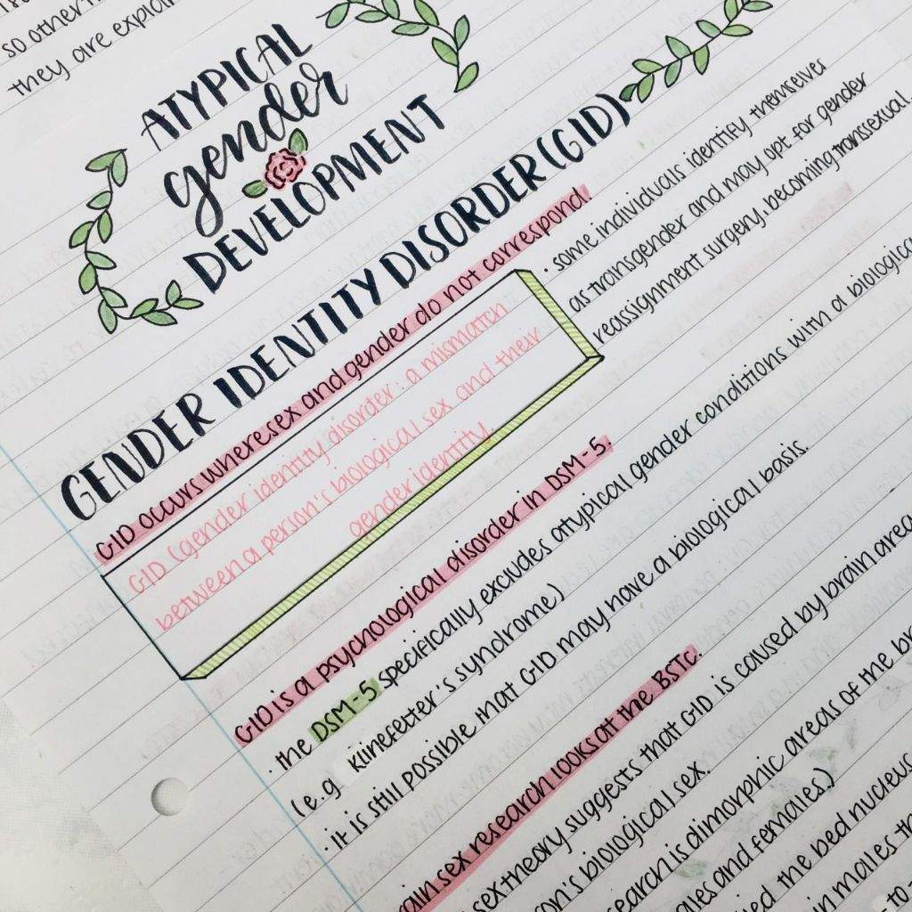 Beautiful Notes Studying Amino Amino