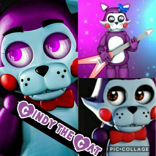 Cindy The Cat Wiki Five Nights At Candys™ Amino