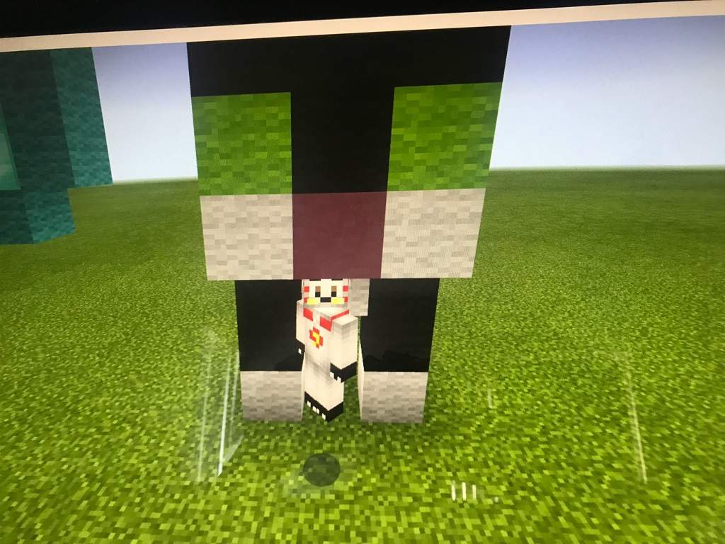 Minecraft Cat Build Minecraft Amino