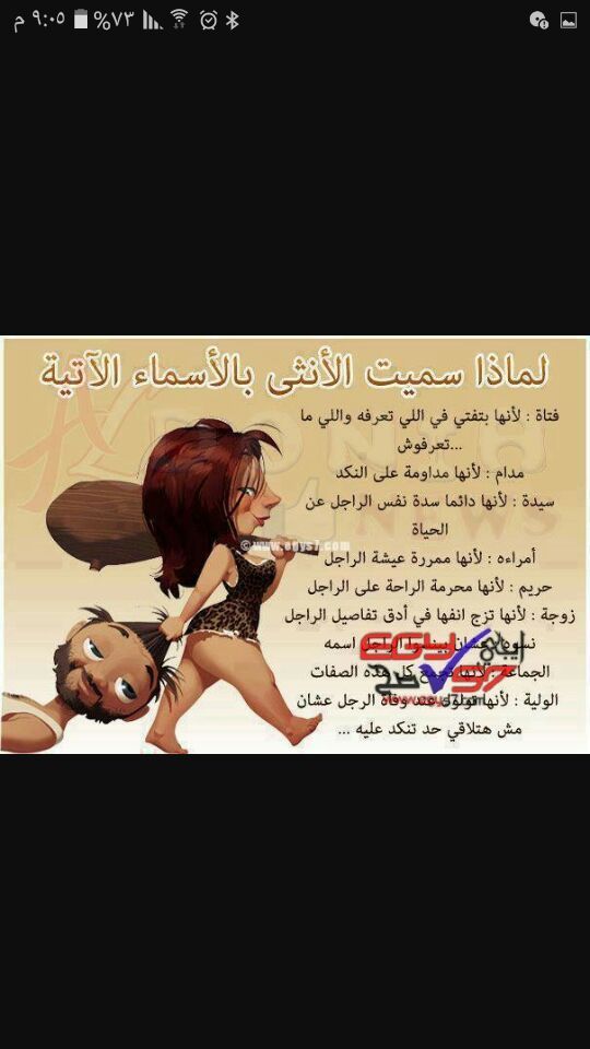 نكت عن البنات نكت تحشيش Amino Amino