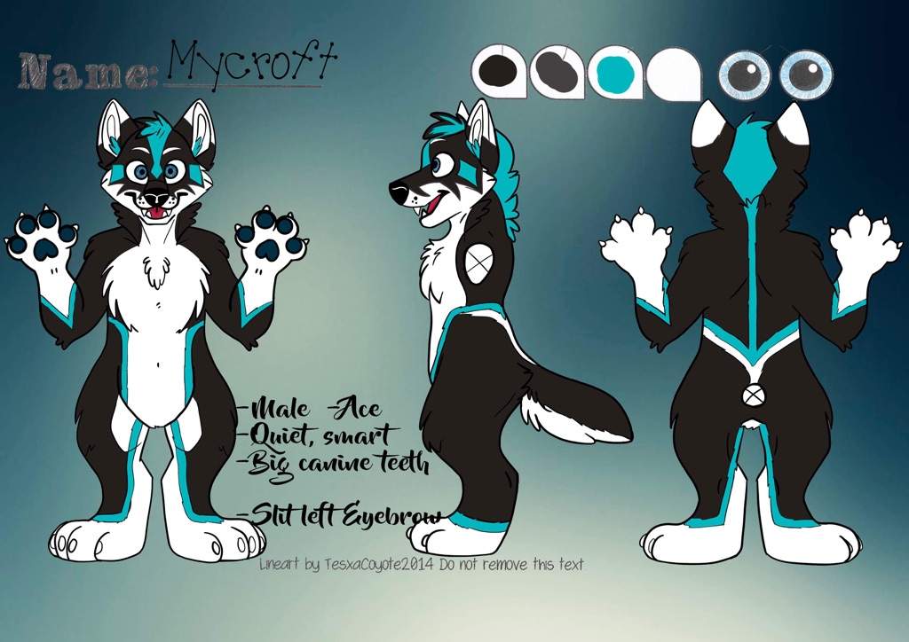 New Reference Sheet Furry Amino