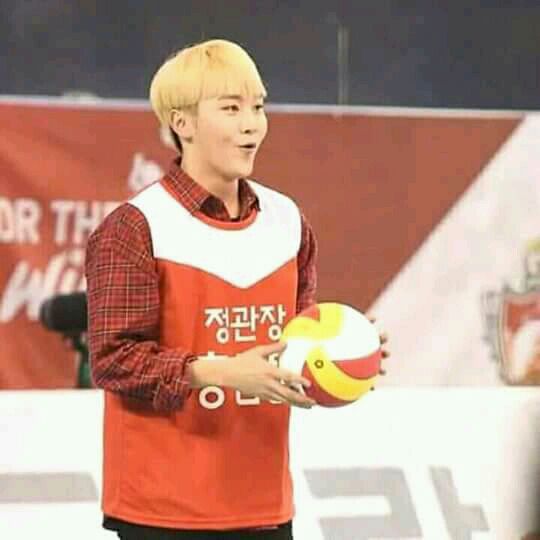Happy Birthday Seungkwan Carat 캐럿 Amino