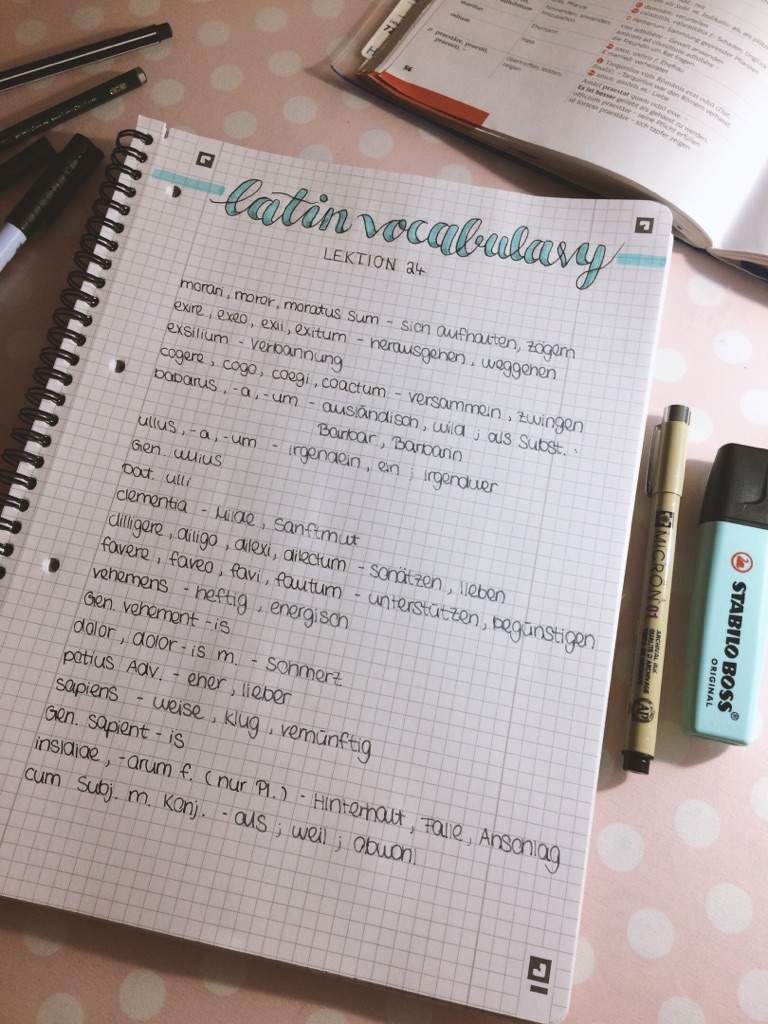 Latin Vocabularys Studying Amino Amino latin-vocabularys-studying-amino-amino