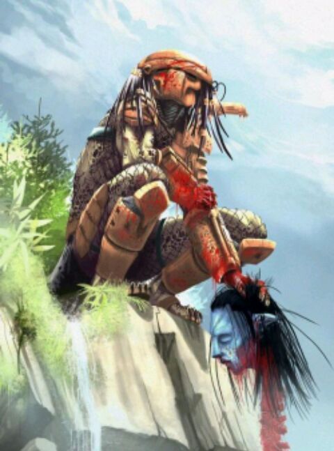 Art Not Mine Navi Xenomorph Alien Versus Predator Universe Amino
