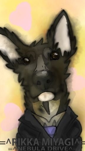Rawr Owo Art Amino
