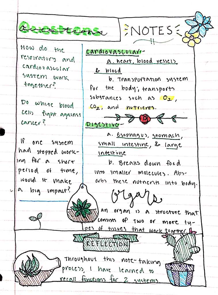 Biology Cornell Notes Studying Amino Amino