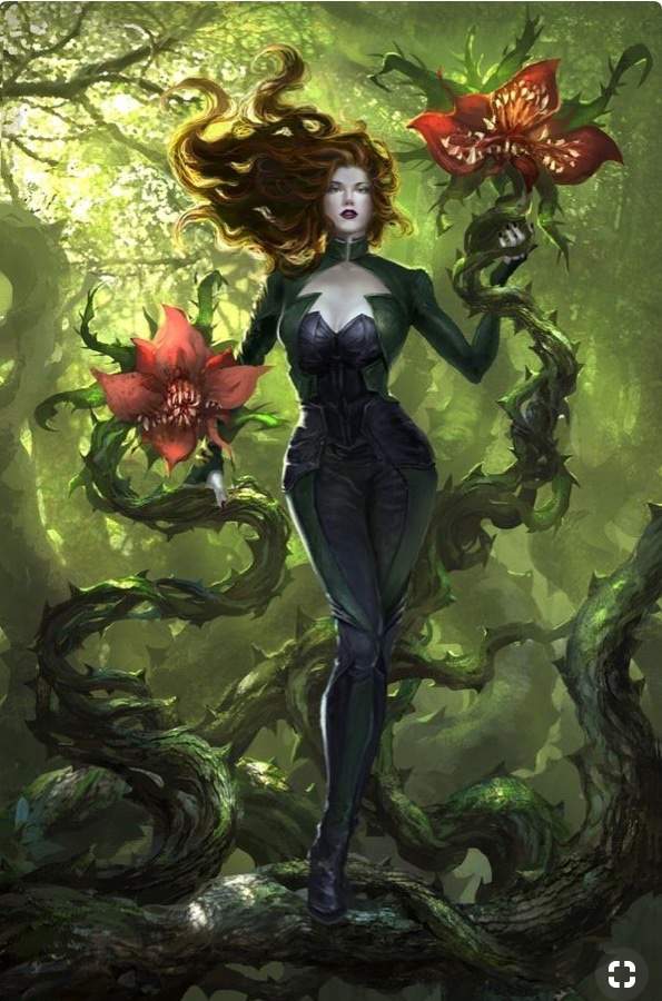 Quem é A Proxima Mulher A Entrar No Universo Estendido Dc • Dc