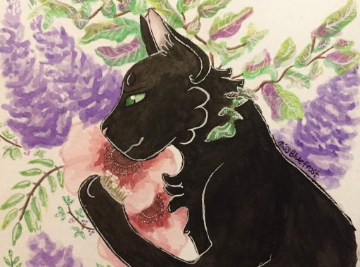 Strangestweirdest Warrior Cat Pelt Designscolors Warriors Amino