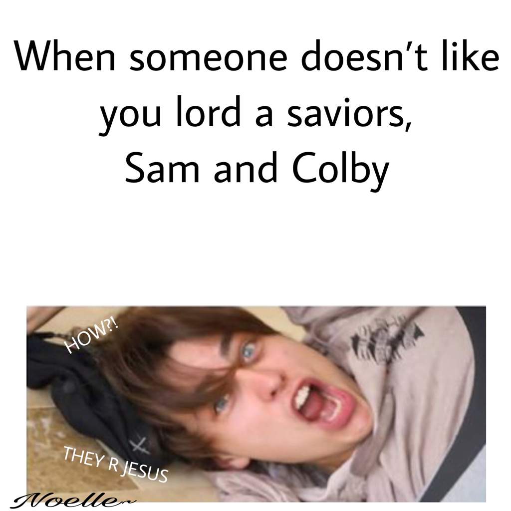 Have Some Memes Too Sam And Colby Amino