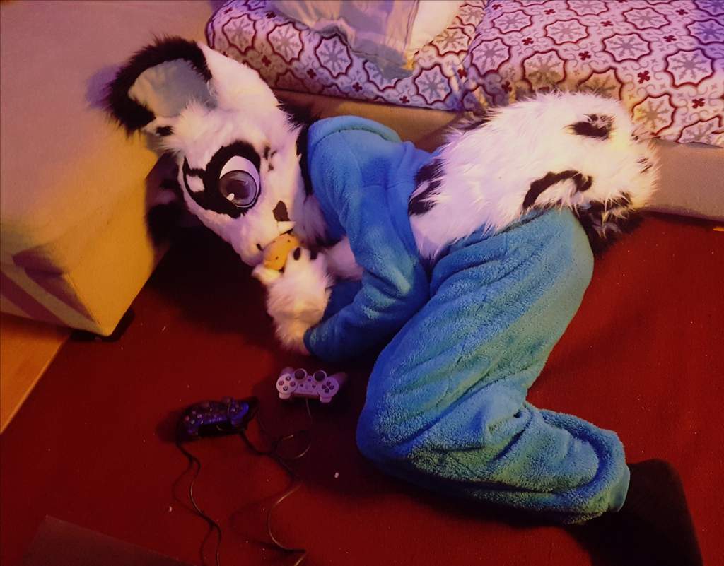 Gnar Wiki Furry Amino
