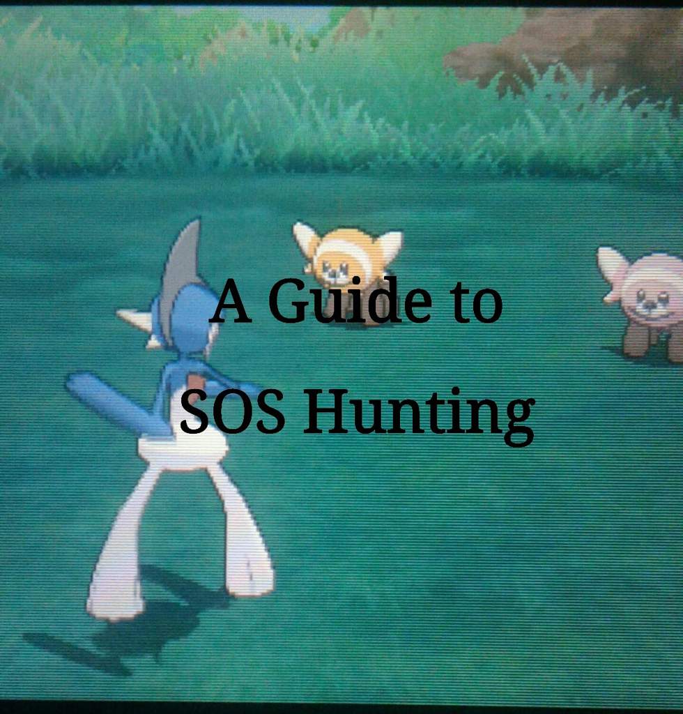 A Guide For Sos Hunting Pokémon Amino