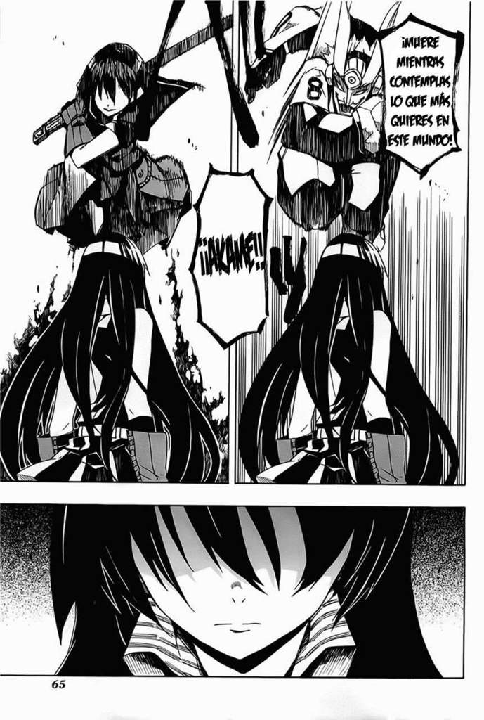 Akame Ga Kill Manga 6 Wiki •akame Ga Kill• Amino