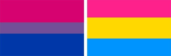 Pansexual Vs Bisexual All You Need To Know Wiki Lgbt Amino