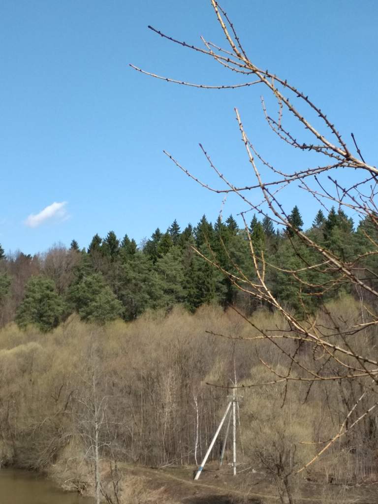 Цвет нежно-голубой | Wiki | Лаборатория Творчества Amino