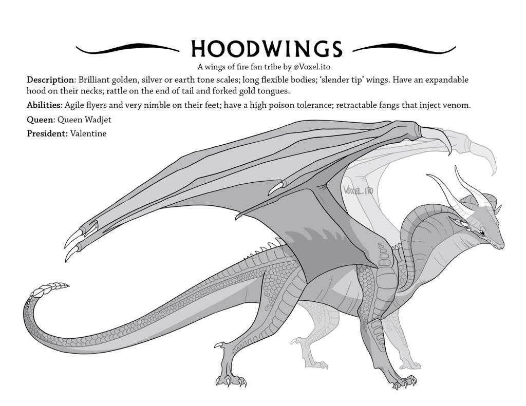 Hoodwings Fantribe Wings Of Fire Amino