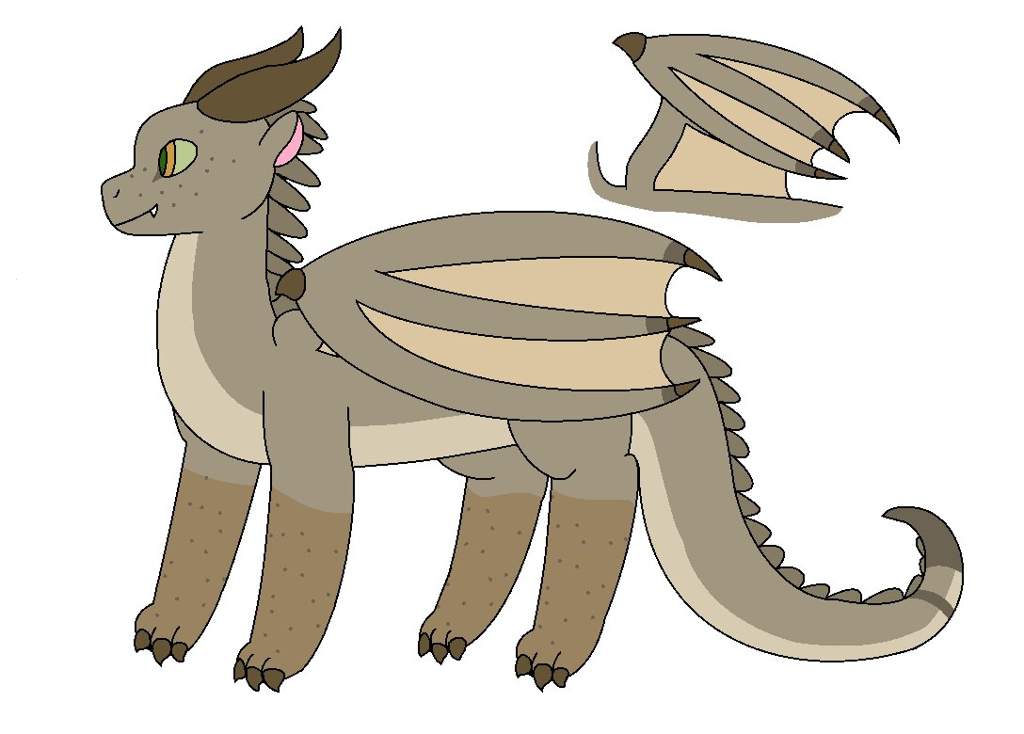 A Pair Of Oc Refs Wings Of Fire Amino