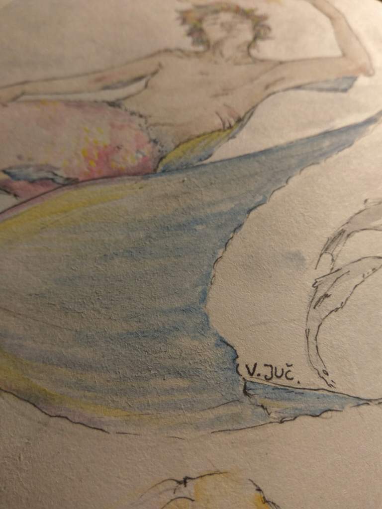 🐬 Merman 🐬 Arts And Ocs Amino